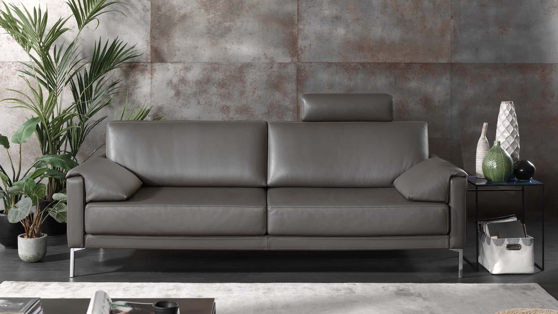 Onze zetels • Cammers Zetels